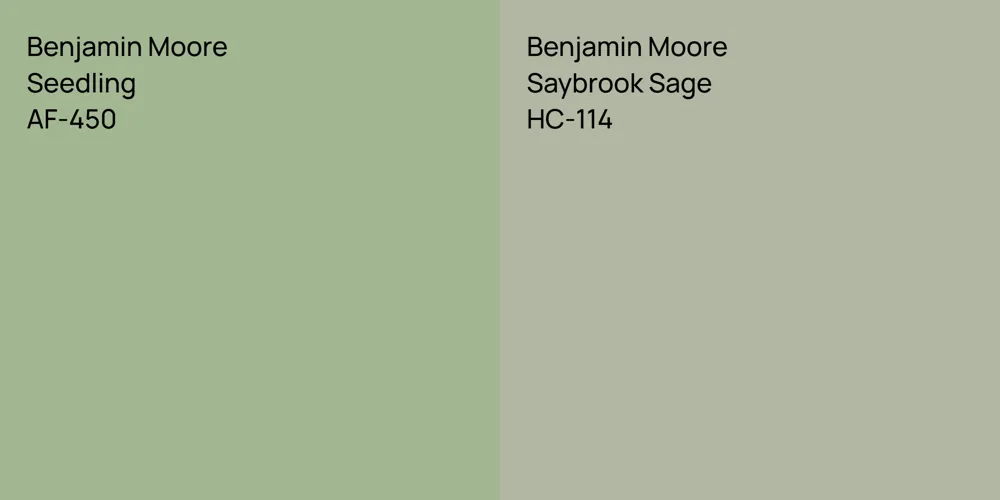 Benjamin Moore Seedling vs. Benjamin Moore Saybrook Sage comparison