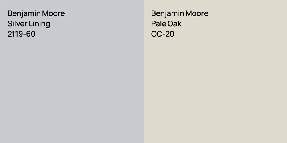 Benjamin Moore Silver Lining vs. Benjamin Moore Pale Oak comparison