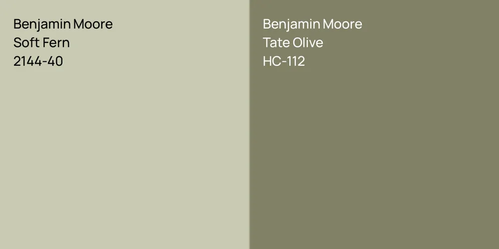 Benjamin Moore Soft Fern vs. Benjamin Moore Tate Olive comparison