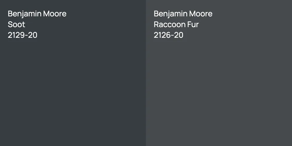 Benjamin Moore Soot vs. Benjamin Moore Raccoon Fur comparison