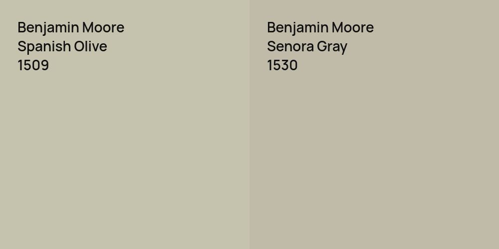 Benjamin Moore Spanish Olive vs. Benjamin Moore Senora Gray comparison