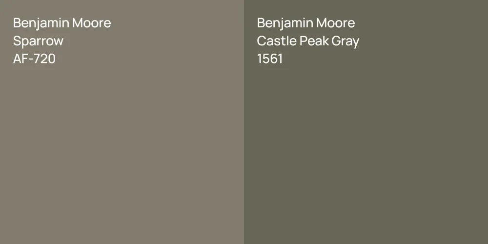 Benjamin Moore Sparrow vs. Benjamin Moore Castle Peak Gray comparison