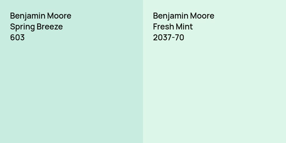 Benjamin Moore Spring Breeze vs. Benjamin Moore Fresh Mint comparison