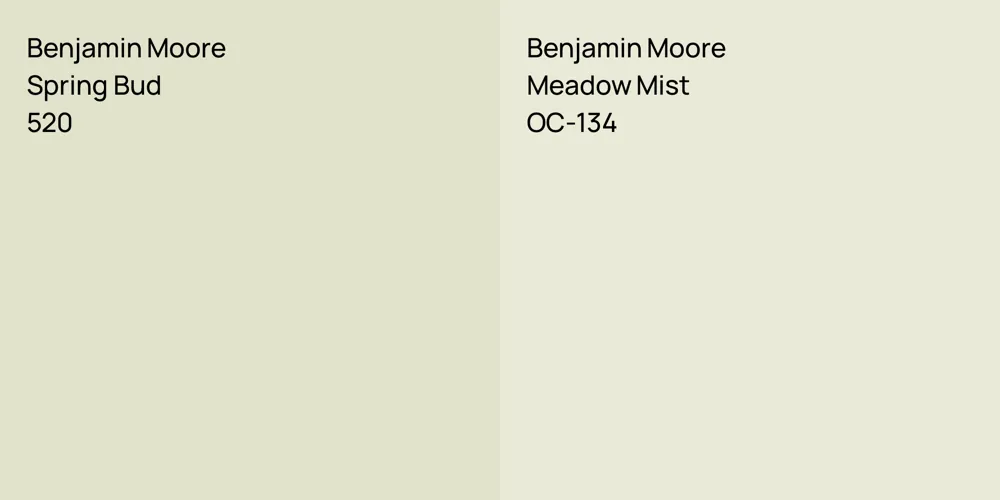 Benjamin Moore Spring Bud vs. Benjamin Moore Meadow Mist comparison
