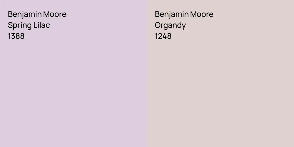 Benjamin Moore Spring Lilac vs. Benjamin Moore Organdy comparison