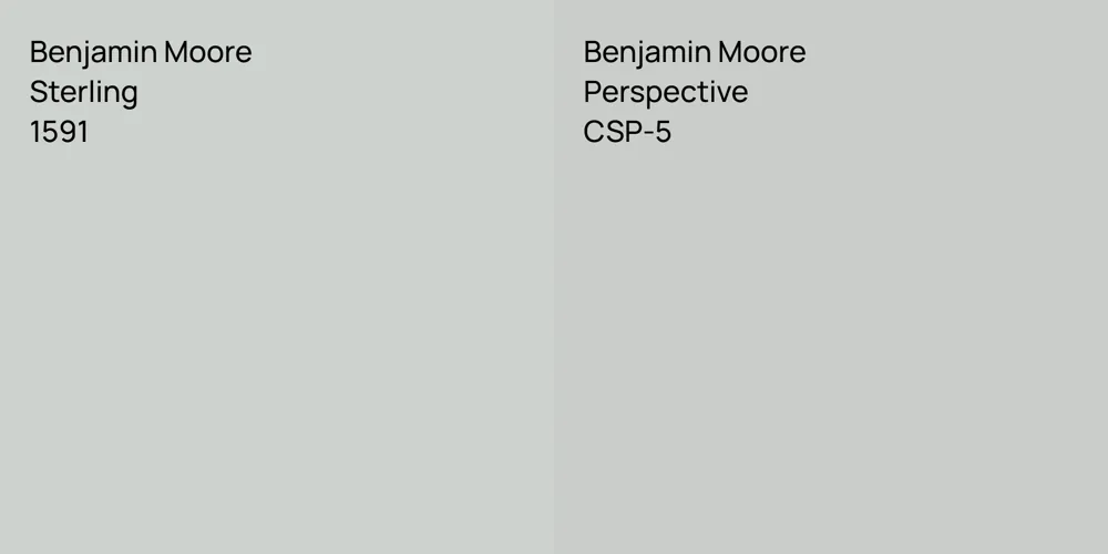 Benjamin Moore Sterling vs. Benjamin Moore Perspective comparison