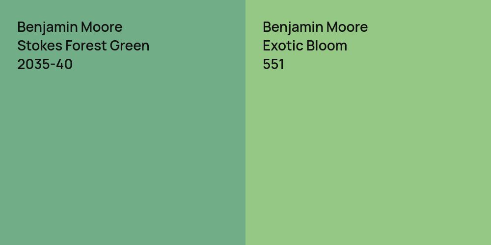 Benjamin Moore Stokes Forest Green vs. Benjamin Moore Exotic Bloom ...