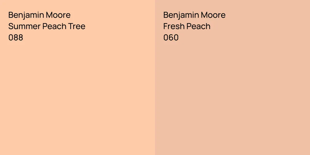 Benjamin Moore Summer Peach Tree vs. Benjamin Moore Fresh Peach comparison