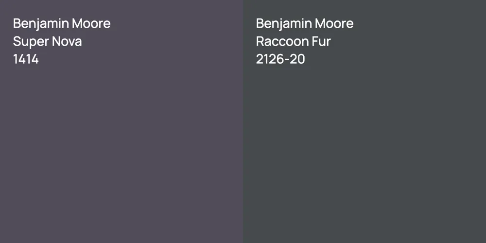 Benjamin Moore Super Nova vs. Benjamin Moore Raccoon Fur comparison