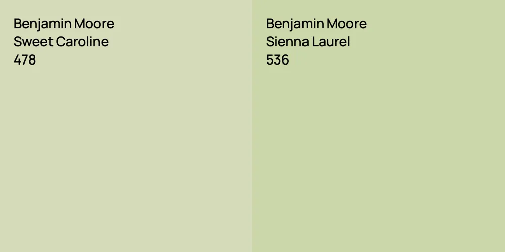 Benjamin Moore Sweet Caroline vs. Benjamin Moore Sienna Laurel comparison