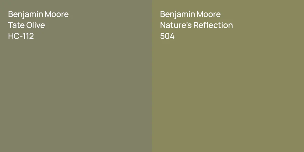 Benjamin Moore Tate Olive vs. Benjamin Moore Nature's Reflection comparison
