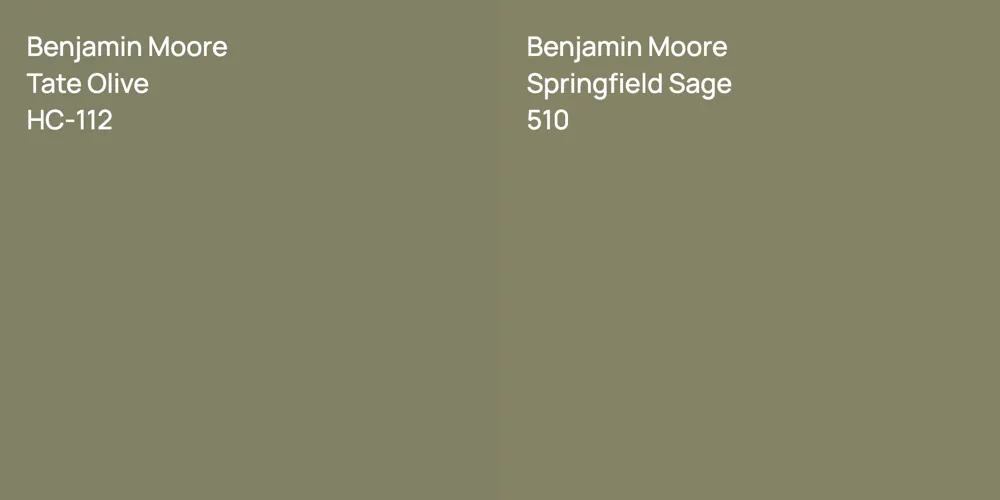 Benjamin Moore Tate Olive vs. Benjamin Moore Springfield Sage comparison