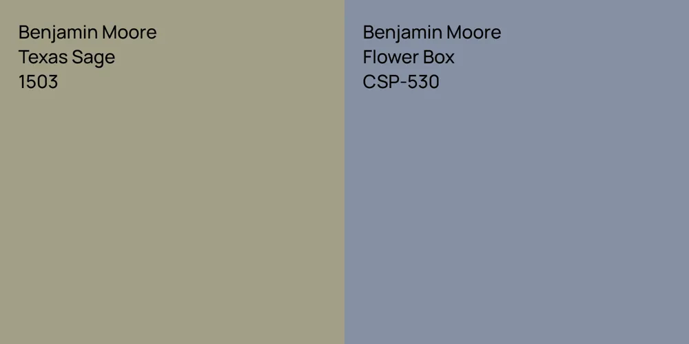 Benjamin Moore Texas Sage vs. Benjamin Moore Flower Box comparison