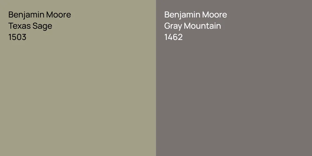 Benjamin Moore Texas Sage vs. Benjamin Moore Gray Mountain comparison