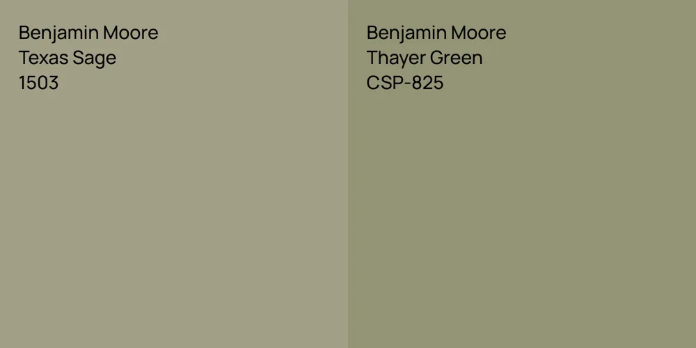 Benjamin Moore Texas Sage vs. Benjamin Moore Thayer Green comparison