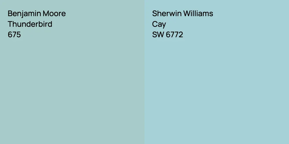 Benjamin Moore Thunderbird vs. Sherwin Williams Cay comparison