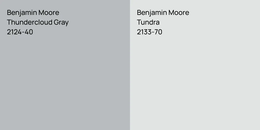 Benjamin Moore Thundercloud Gray vs. Benjamin Moore Tundra comparison