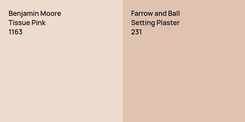 Benjamin Moore Tissue Pink vs. Farrow and Ball Setting Plaster comparison