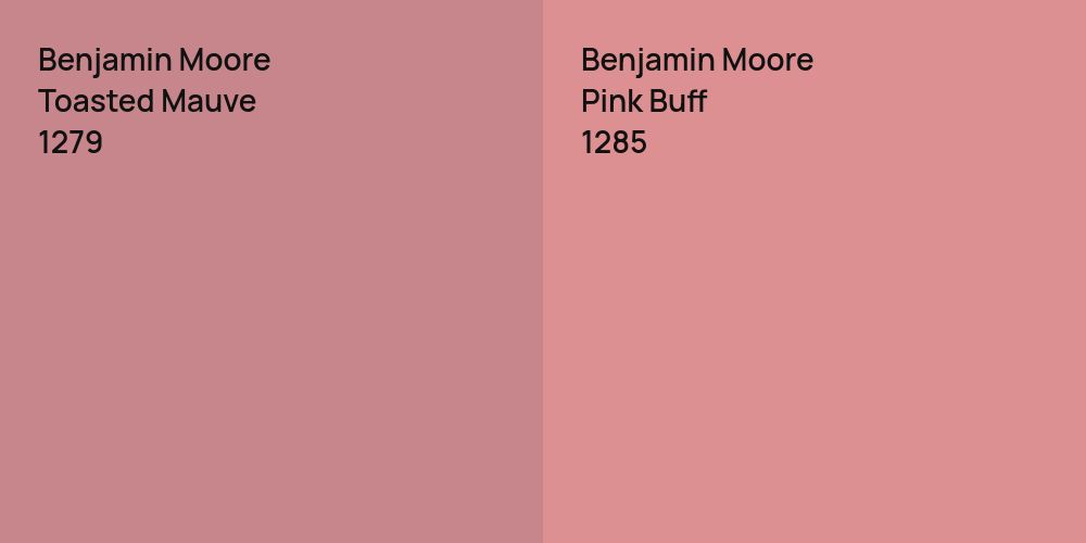 Benjamin Moore Toasted Mauve vs. Benjamin Moore Pink Buff comparison