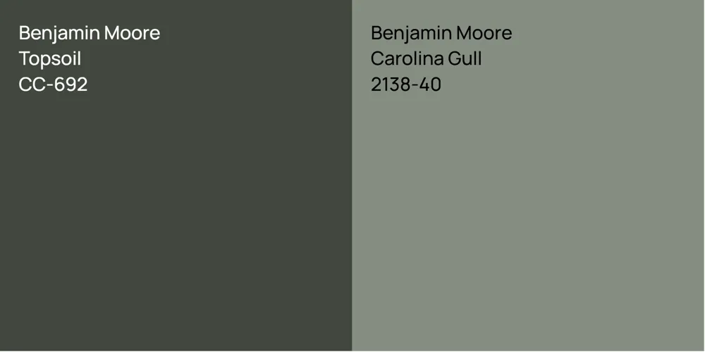 Benjamin Moore Topsoil vs. Benjamin Moore Carolina Gull comparison