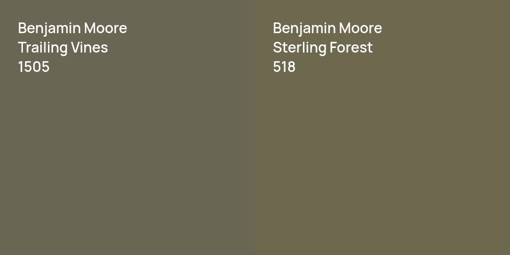 Benjamin Moore Trailing Vines vs. Benjamin Moore Sterling Forest comparison
