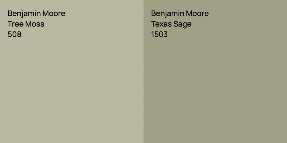Benjamin Moore Tree Moss vs. Benjamin Moore Texas Sage comparison