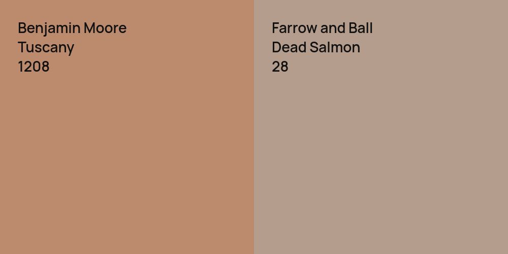 Benjamin Moore Tuscany vs. Farrow and Ball Dead Salmon comparison