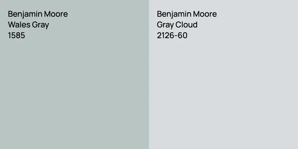 Benjamin Moore Wales Gray vs. Benjamin Moore Gray Cloud comparison
