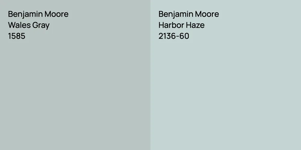 Benjamin Moore Wales Gray vs. Benjamin Moore Harbor Haze comparison