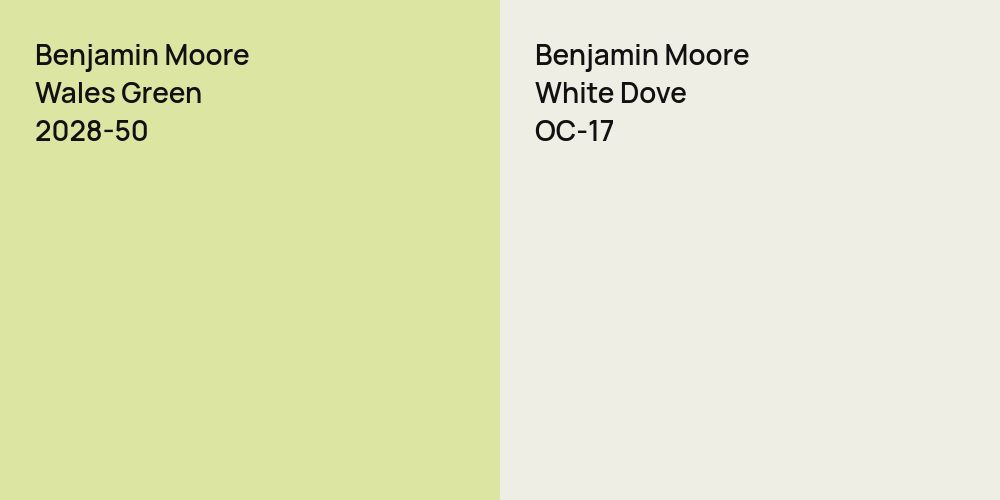 Benjamin Moore Wales Green vs. Benjamin Moore White Dove comparison