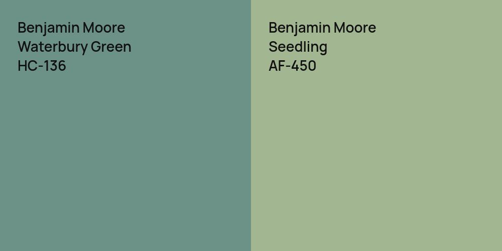 Benjamin Moore Waterbury Green vs. Benjamin Moore Seedling comparison