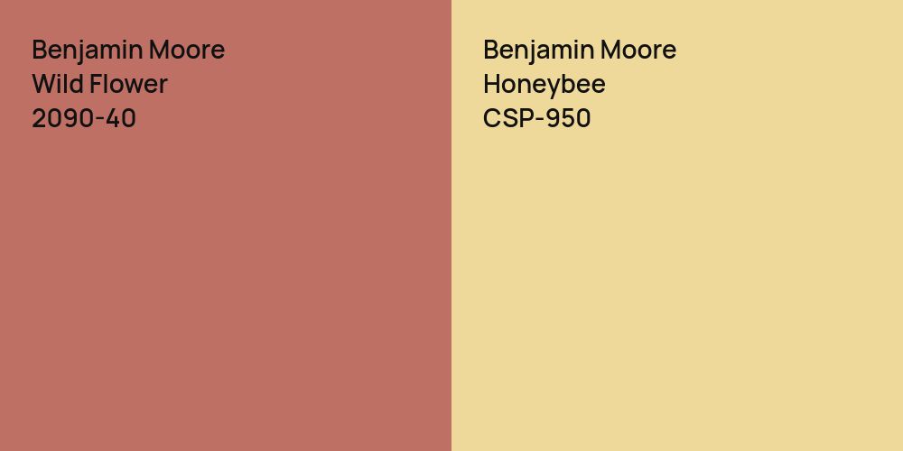 Benjamin Moore Wild Flower vs. Benjamin Moore Honeybee comparison