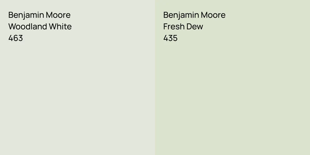 Benjamin Moore Woodland White vs. Benjamin Moore Fresh Dew comparison