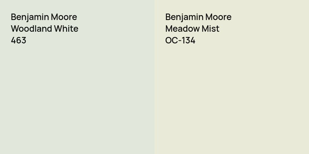 Benjamin Moore Woodland White vs. Benjamin Moore Meadow Mist comparison