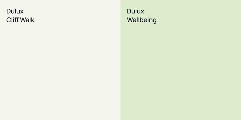 Dulux Cliff Walk vs. Dulux Wellbeing comparison