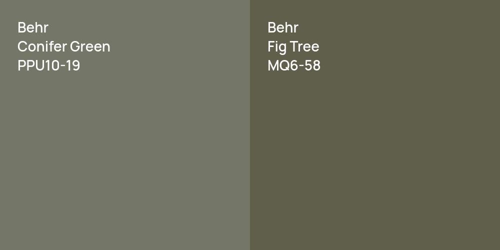 Behr Conifer Green vs. Behr Fig Tree comparison