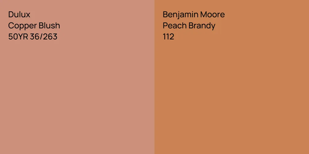 Dulux Copper Blush vs. Benjamin Moore Peach Brandy comparison