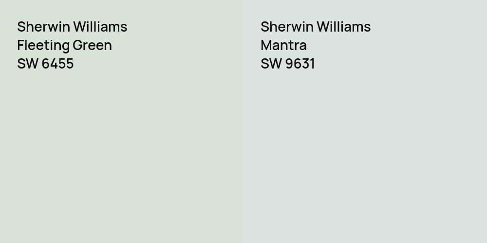Sherwin Williams Fleeting Green vs. Sherwin Williams Mantra comparison