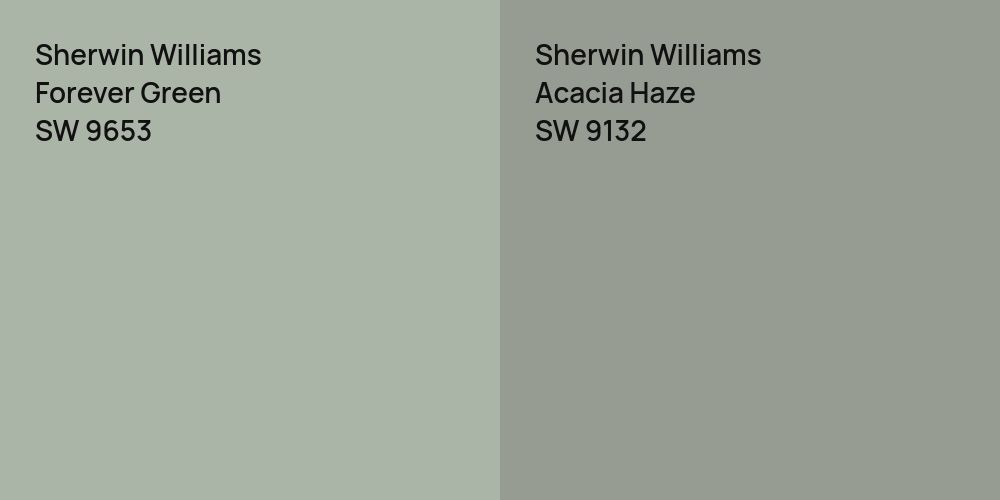 Sherwin Williams Forever Green vs. Sherwin Williams Acacia Haze comparison