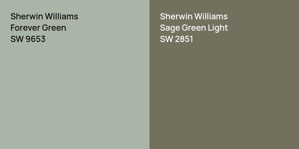 Sherwin Williams Forever Green vs. Sherwin Williams Sage Green Light ...