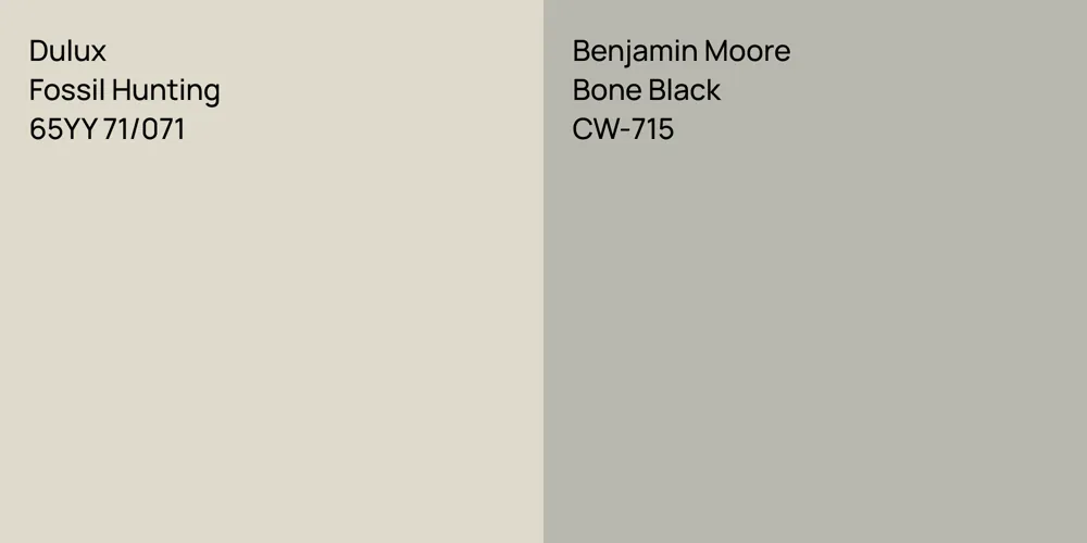 Dulux Fossil Hunting vs. Benjamin Moore Bone Black comparison