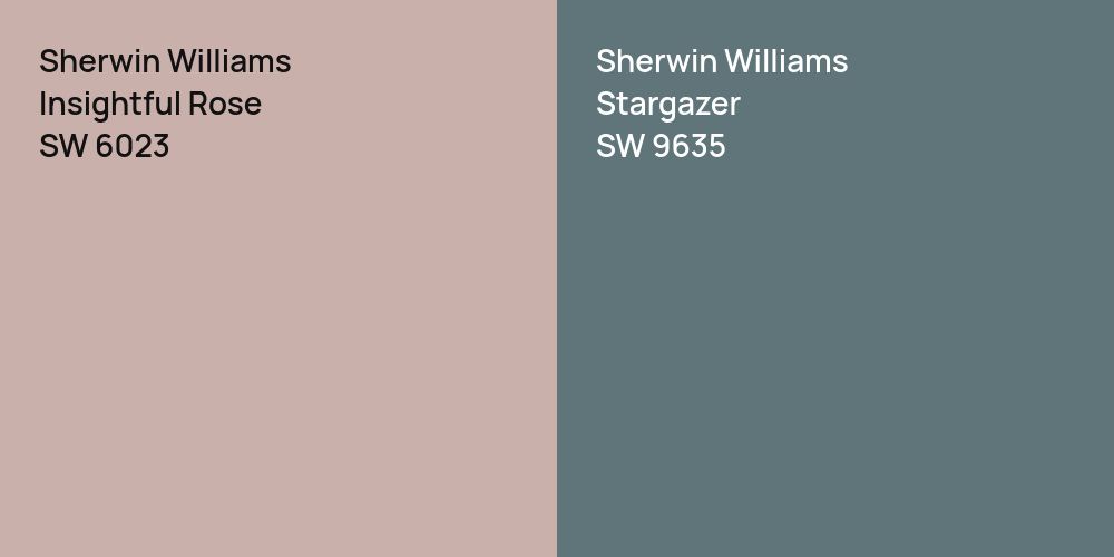 Sherwin Williams Insightful Rose vs. Sherwin Williams Stargazer comparison