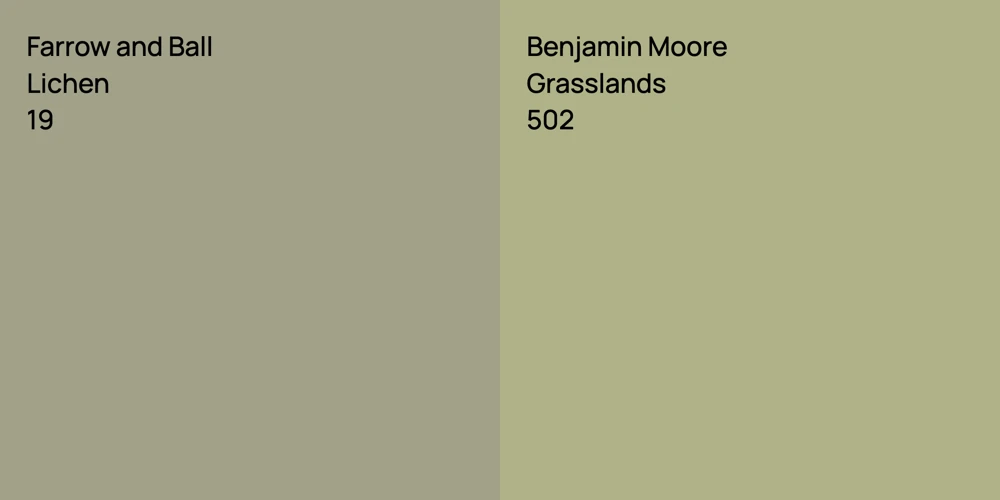 Farrow and Ball Lichen vs. Benjamin Moore Grasslands comparison