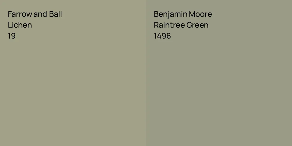 Farrow and Ball Lichen vs. Benjamin Moore Raintree Green comparison