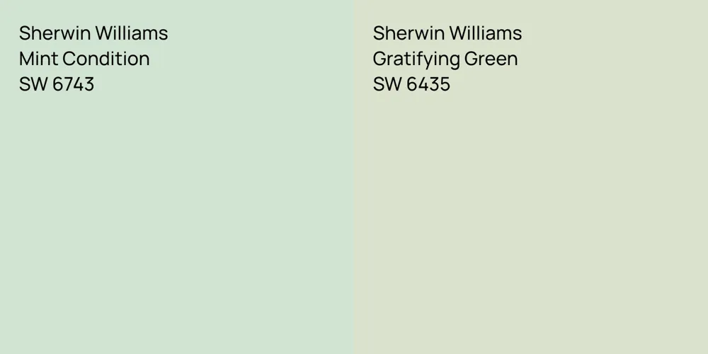 Sherwin Williams Mint Condition vs. Sherwin Williams Gratifying Green ...
