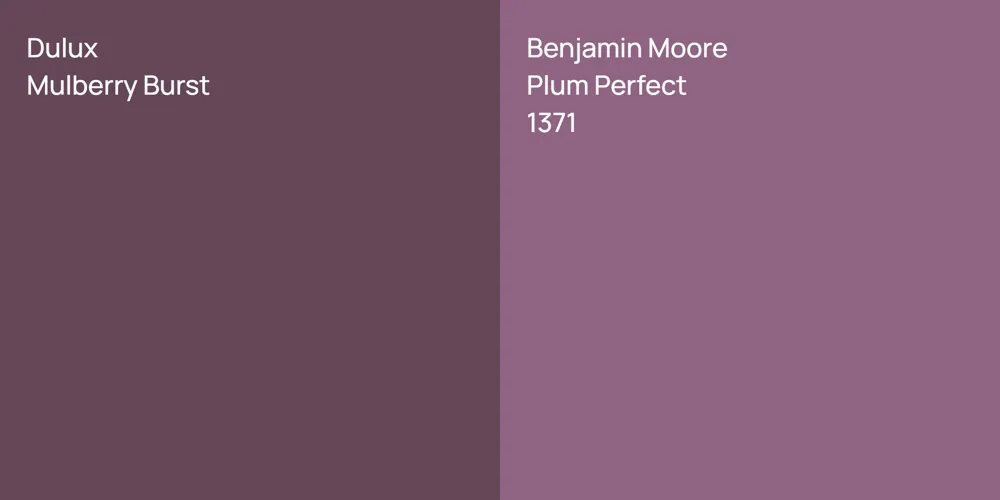 Dulux Mulberry Burst vs. Benjamin Moore Plum Perfect comparison
