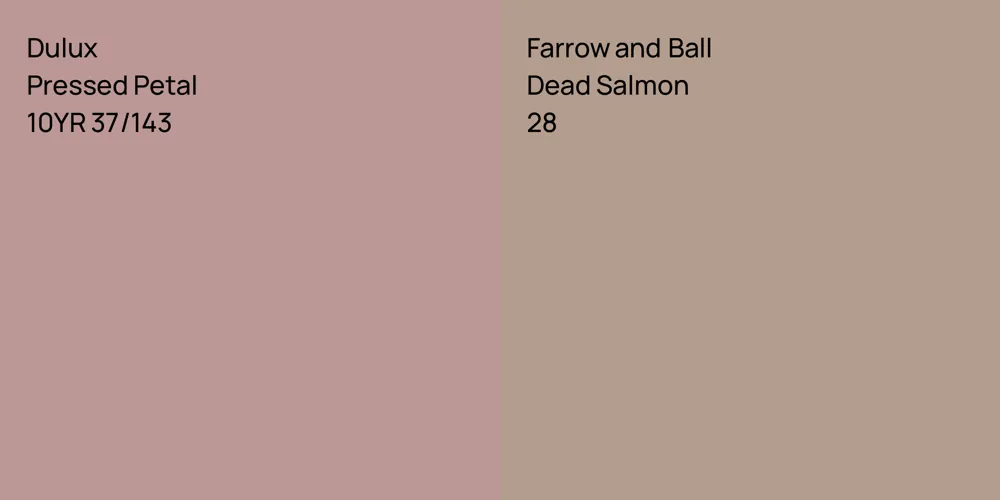 Dulux Pressed Petal vs. Farrow and Ball Dead Salmon comparison