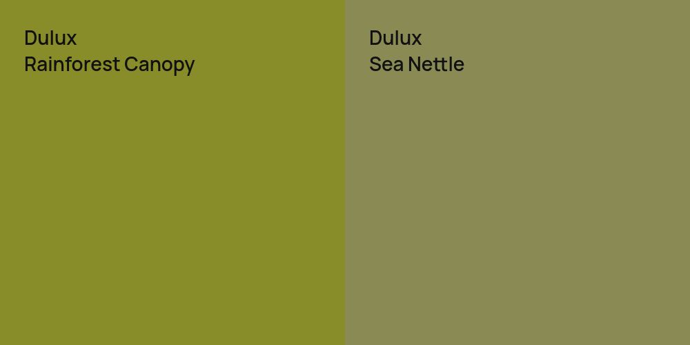 Dulux Rainforest Canopy vs. Dulux Sea Nettle comparison
