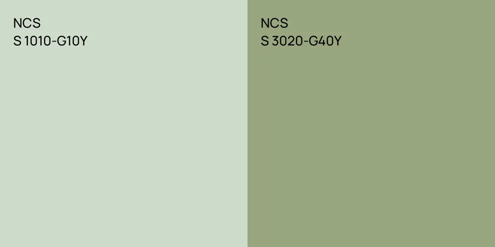 NCS S 1010-G10Y vs. NCS S 3020-G40Y comparison