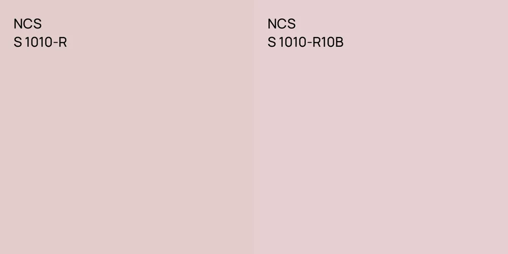 NCS S 1010-R vs. NCS S 1010-R10B comparison